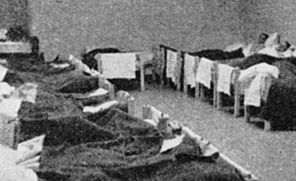 The museum as emergency hospital – Kröller-Müller Museum